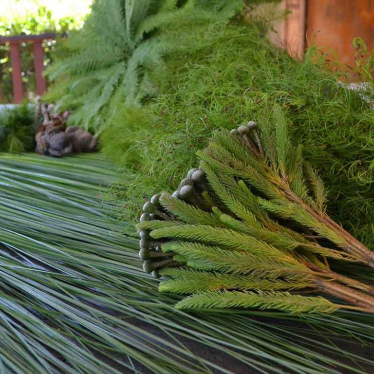 Barker Bush | Premium Greens Australia