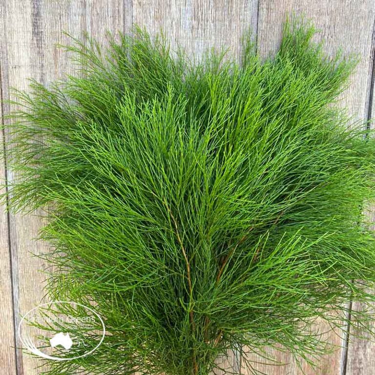 Barker Bush | Premium Greens Australia